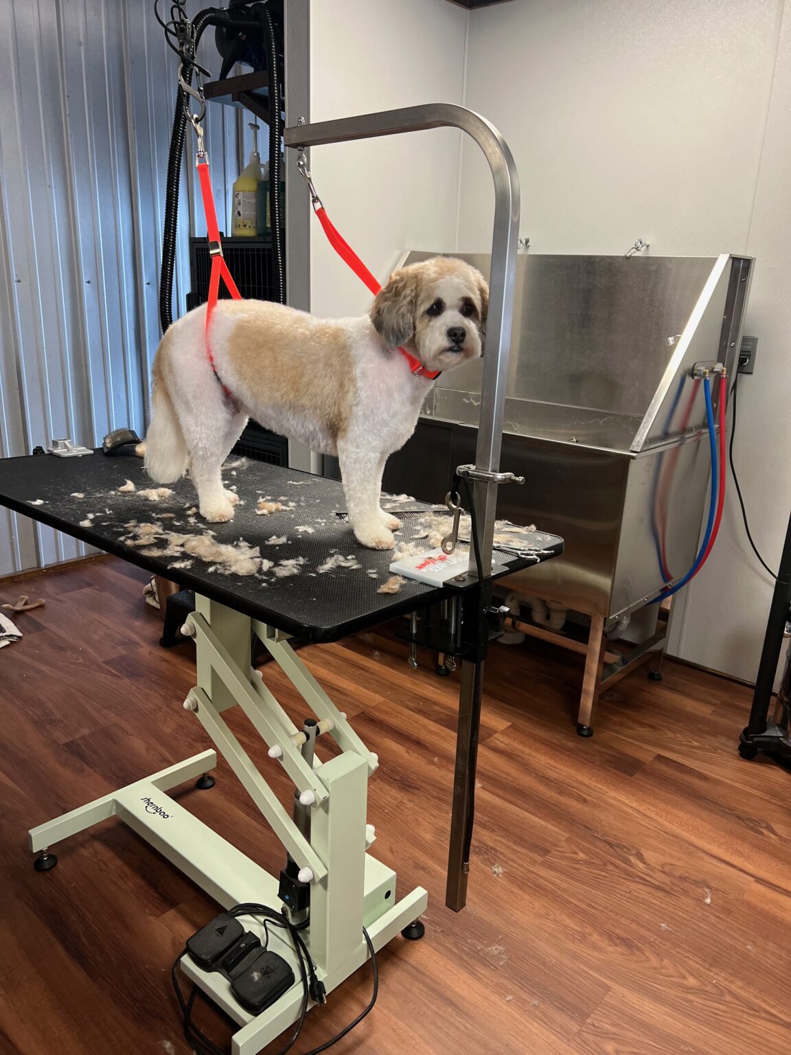 Rivers Edge Dog Grooming Dog Boarding